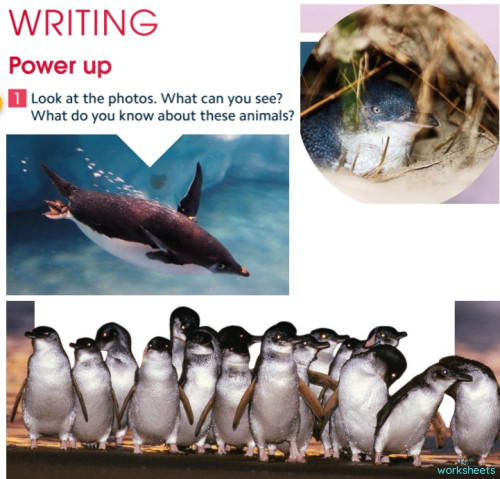 Animal Magic Writing. Interactive worksheet | TopWorksheets