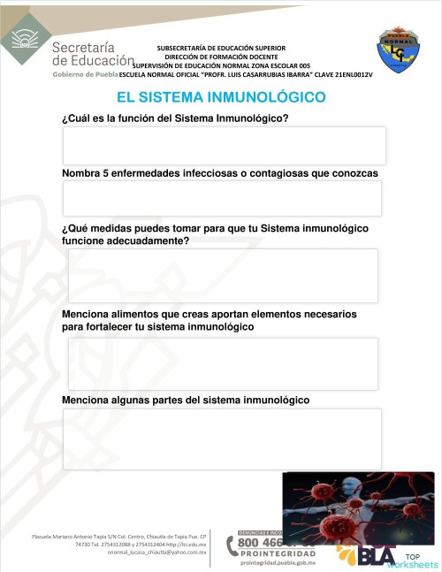 ¿Qué sé del Sistema Inmunológico?. Ficha interactiva | TopWorksheets