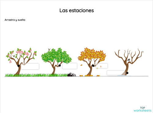 Las estaciones. Ficha interactiva | TopWorksheets
