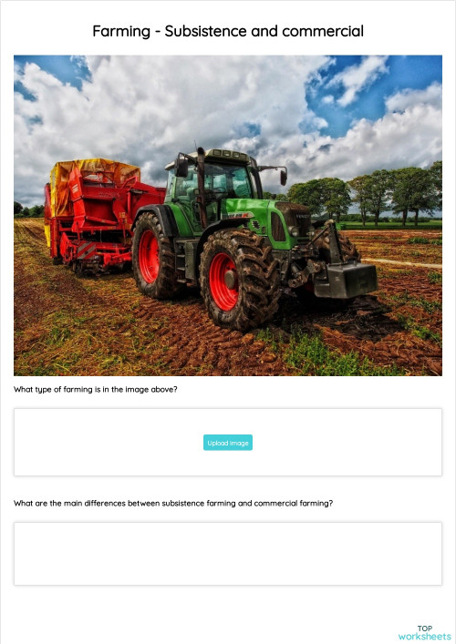 Farming - Subsistence and commercial. Interactive worksheet | TopWorksheets