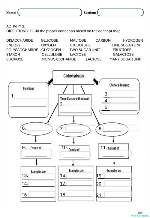 Science: interactive worksheets and online exercises | TopWorksheets