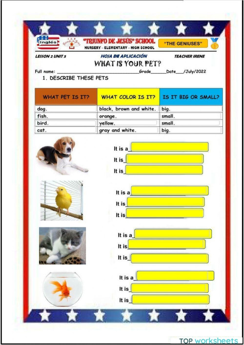 My pets. Interactive worksheet | TopWorksheets