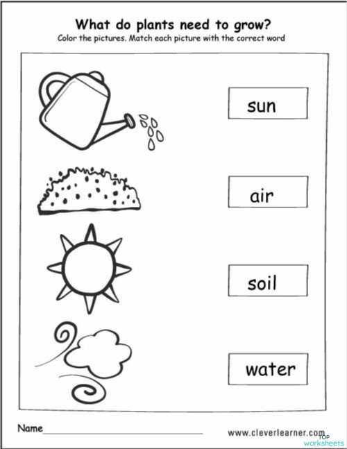 needs of plants. Interactive worksheet | TopWorksheets