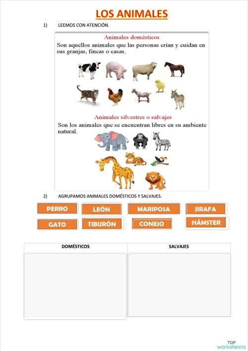 Animales Vertebrados E Invertebrados Ficha Para Imprimir Topworksheets