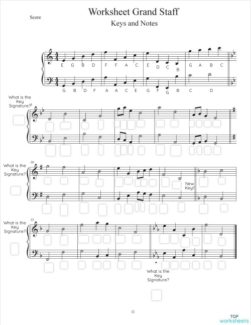 WS Grand Staff Keys and Notes. Interactive worksheet | TopWorksheets