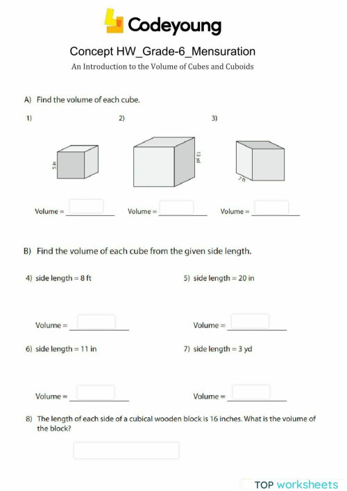 An Introduction to the Volume of Cubes and Cuboids Concept HW ...