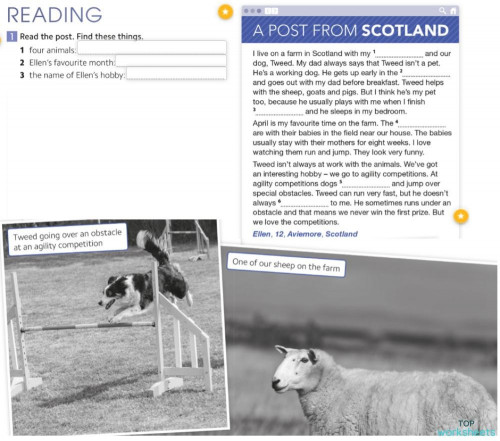 Animal magic Reading part 2. Interactive worksheet | TopWorksheets