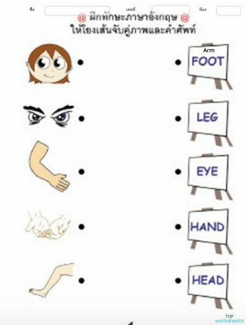 Interactive worksheets and online exercises in thai | TopWorksheets