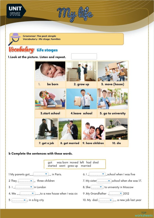 VI.1 Vocabulary Life stage (3rd). Interactive worksheet | TopWorksheets