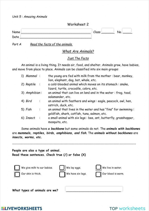 Amazing Animals WS 2 Unit 5. Interactive worksheet | TopWorksheets