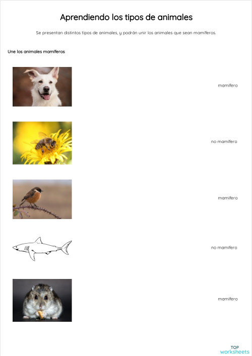 Aprendiendo los tipos de animales. Ficha interactiva | TopWorksheets