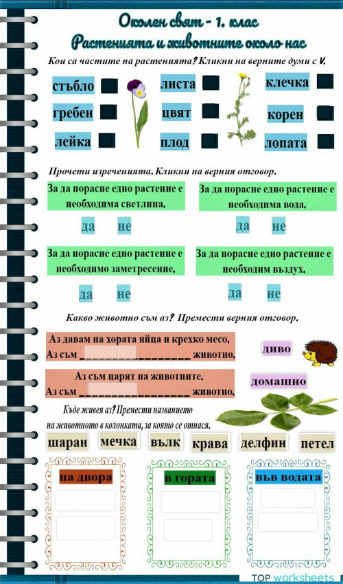 Interactive worksheets and online exercises in bulgarian | TopWorksheets