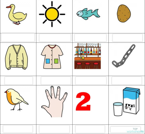 CONCIENCIA SILÁBICA. ESCRIBE LA PALABRA SEPARANDO EN SÍLABAS. Ficha ...