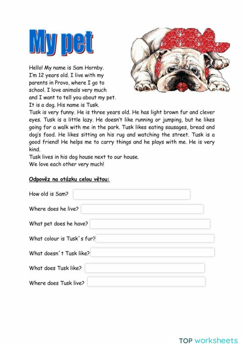 My pet. Interactive worksheet | TopWorksheets