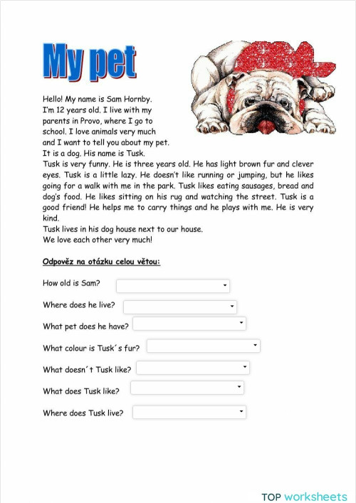 My pet - reading comprehension. Interactive worksheet | TopWorksheets