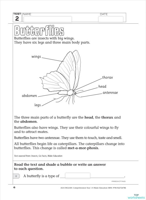 Test 2 Butterflies. Interactive worksheet | TopWorksheets