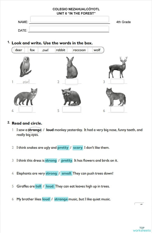 4th Grade - Unit 6 Exam. Ficha interactiva | TopWorksheets