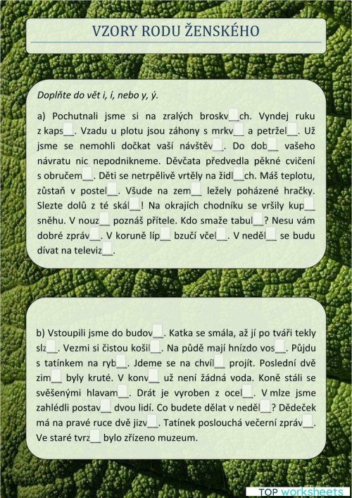 Vzory podstatných jmen - rod ženský. Interaktivní pracovní list ...