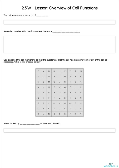 2.5.W - Lesson: Overview of Cell Functions. Interactive worksheet ...
