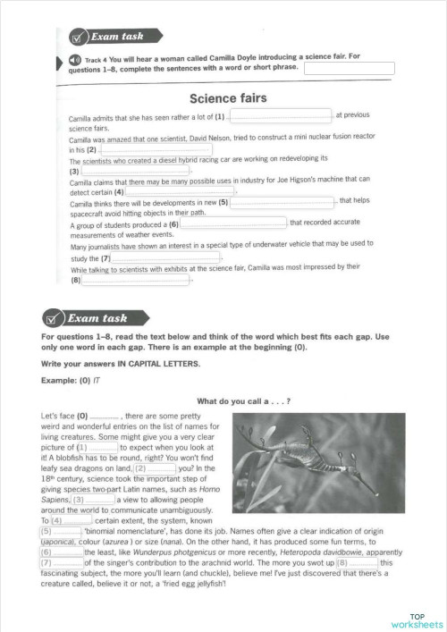 Unit 3 Exam Tasks 3. Interactive worksheet | TopWorksheets