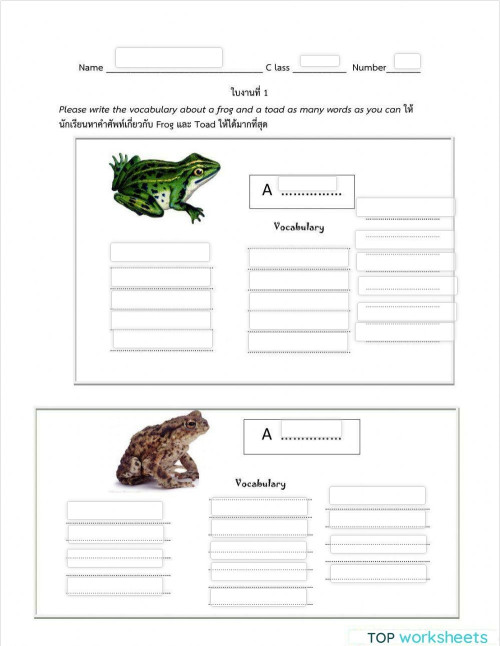 Frog or Toad. Interactive worksheet | TopWorksheets