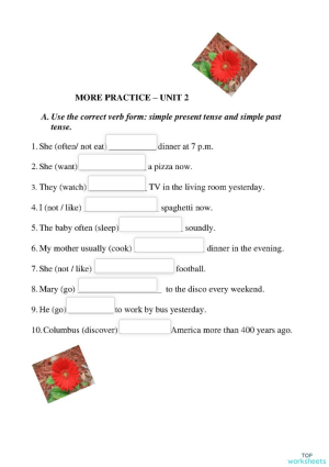MORE PRACTICE - UNIT2. Interactive worksheet | TopWorksheets