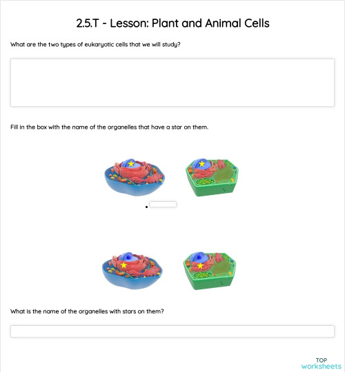 2.5.T - Lesson: Plant and Animal Cells. Interactive worksheet ...