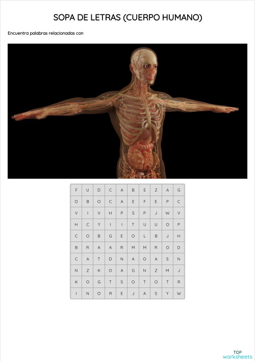 SOPA DE LETRAS (CUERPO HUMANO). Ficha interactiva | TopWorksheets
