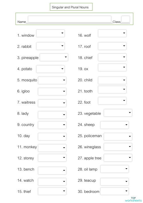 Singular and Plural Nouns. Interactive worksheet | TopWorksheets