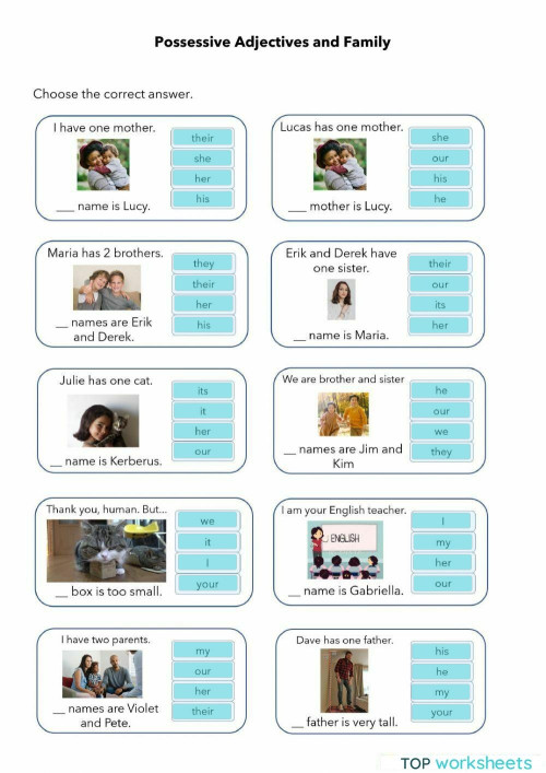 CSFA - Possessive Adjectives and Family. Interactive worksheet ...