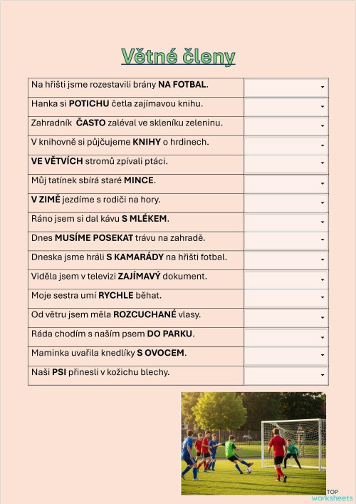 VV-podmětná, předmětná, přívlastková. Interaktivní pracovní list ...