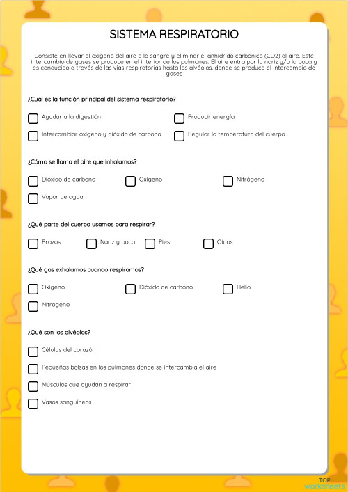 SISTEMA RESPIRATORIO. Ficha interactiva | TopWorksheets