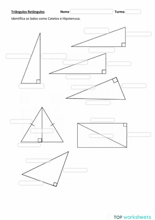 Triângulos retângulos. Ficha interativa | TopWorksheets