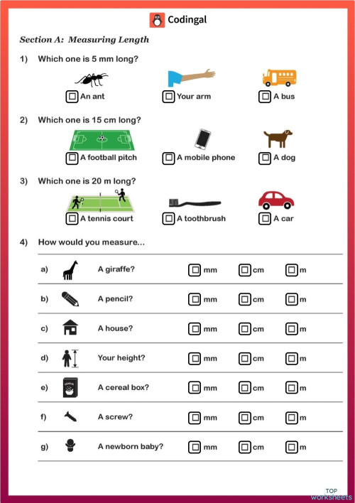 M_G01M12L42_WA01_Introduction_to_Length_Measurement_3. Interactive worksheet | TopWorksheets