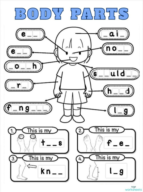 ACTIVITY BODY PARTS. Interactive worksheet | TopWorksheets