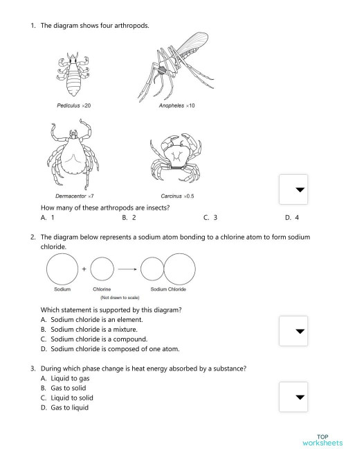 Revision 3. Interactive worksheet | TopWorksheets