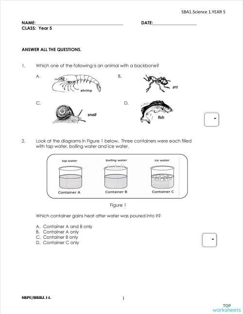 Lesson Review Year 5 Paper 1 (Copied). Interactive worksheet ...