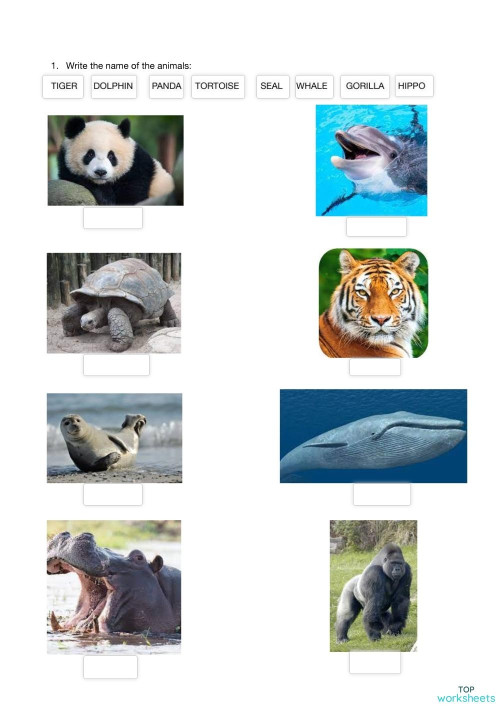 FICHA VOC 3º. Interactive worksheet | TopWorksheets