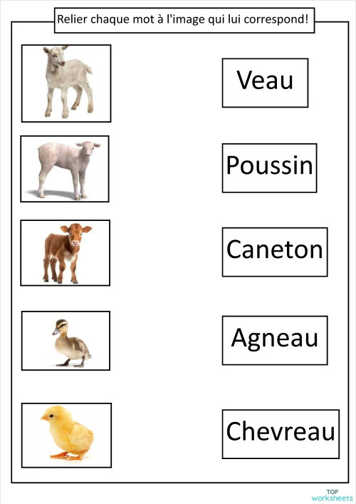Animaux de la ferme 1. Fiche interactive | TopWorksheets