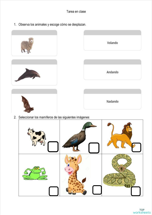 Animales: fichas interactivas y ejercicios online | TopWorksheets