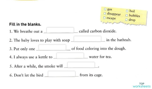 Bubbles in Boiling Water. Interactive worksheet | TopWorksheets