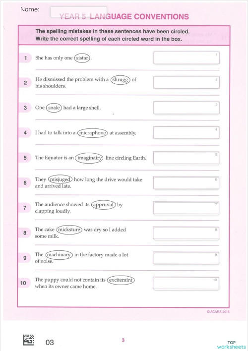 Year 5 Language Conventions Test 2018. Interactive worksheet ...