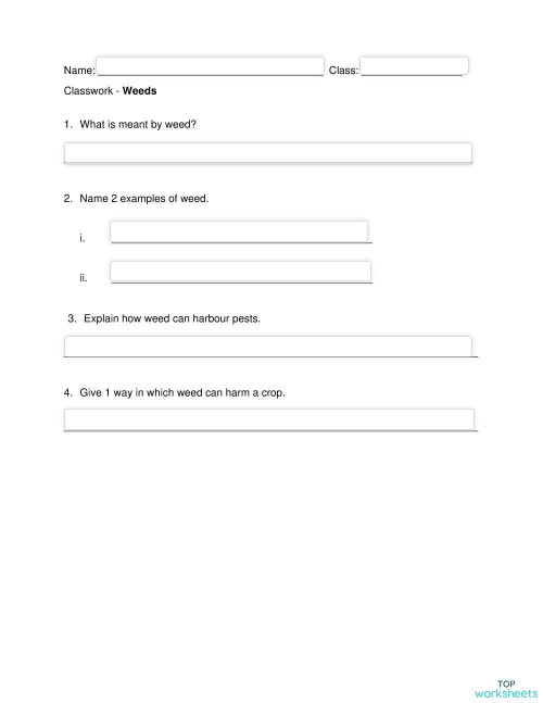 Unit 5 - Weed part 1. Interactive worksheet | TopWorksheets
