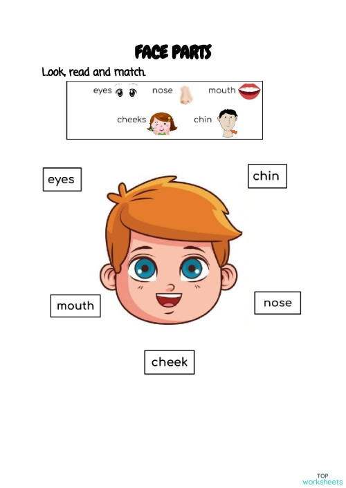 Face Parts. Interactive worksheet | TopWorksheets