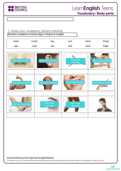 Partes del cuerpo AUDIO. Interactive worksheet | TopWorksheets