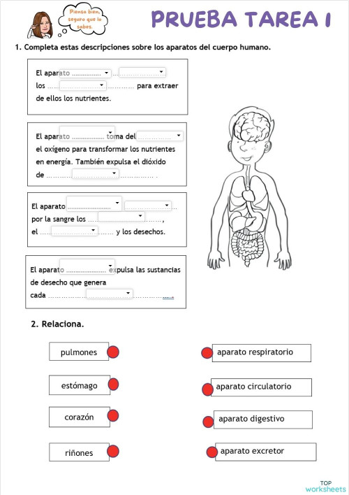 PRUEBA TAREA 1. Ficha interactiva | TopWorksheets