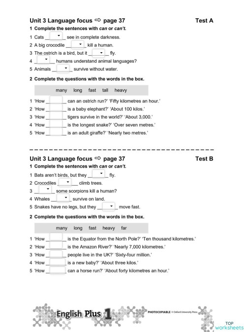 Can / questions with HOW. Interactive worksheet | TopWorksheets