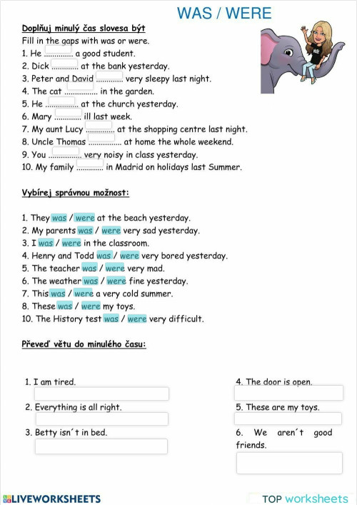 Was were past simple. Interactive worksheet | TopWorksheets