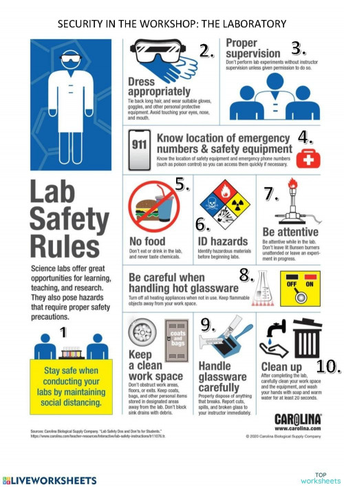 Security in the Workshop_ The Laboratory. Interactive worksheet ...