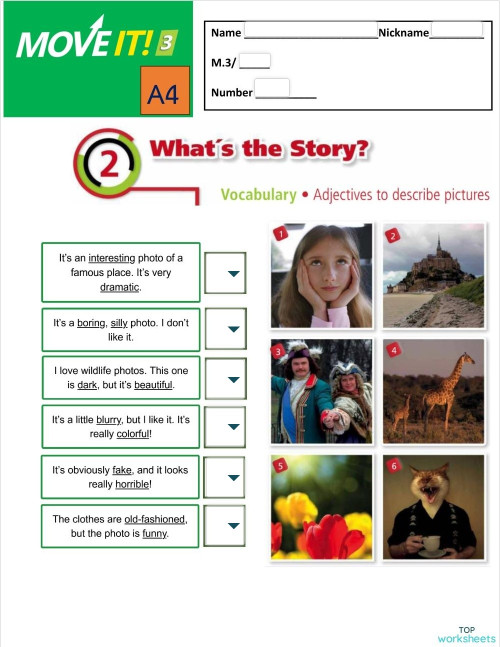 A4 - ADJ to describe picture ใบงานเชิงโต้ตอบ | TopWorksheets